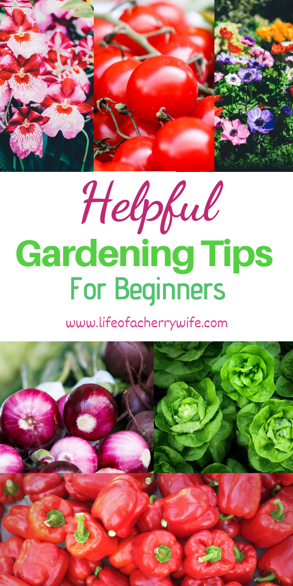 Helpful Gardening Tips For Beginners - Life of a Cherry Wife